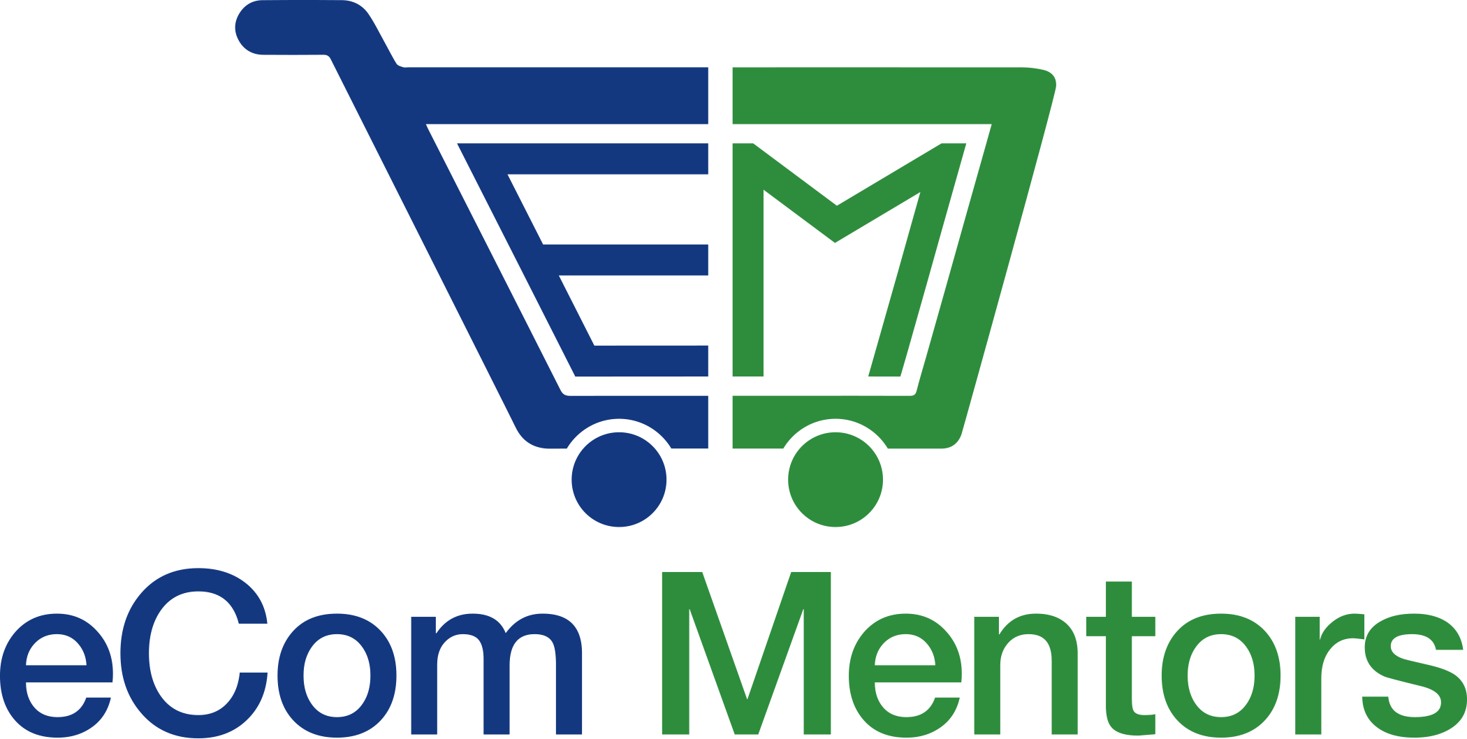 #1 Google Ads Course For Shopify E-Commerce Stores | Ecom Mentors